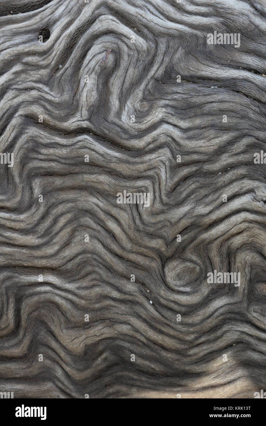 Maserung , Holz, maser, form, struktur, natur, form, baum, baumstamm ...
