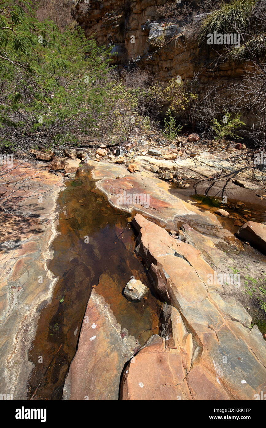 the landscape of the caatinga in brazil Stock Photo - Alamy