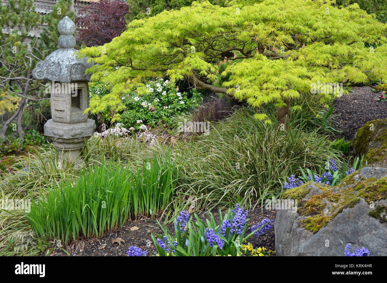 Japanese shrine in lush green spring garden Stock Photo - Alamy