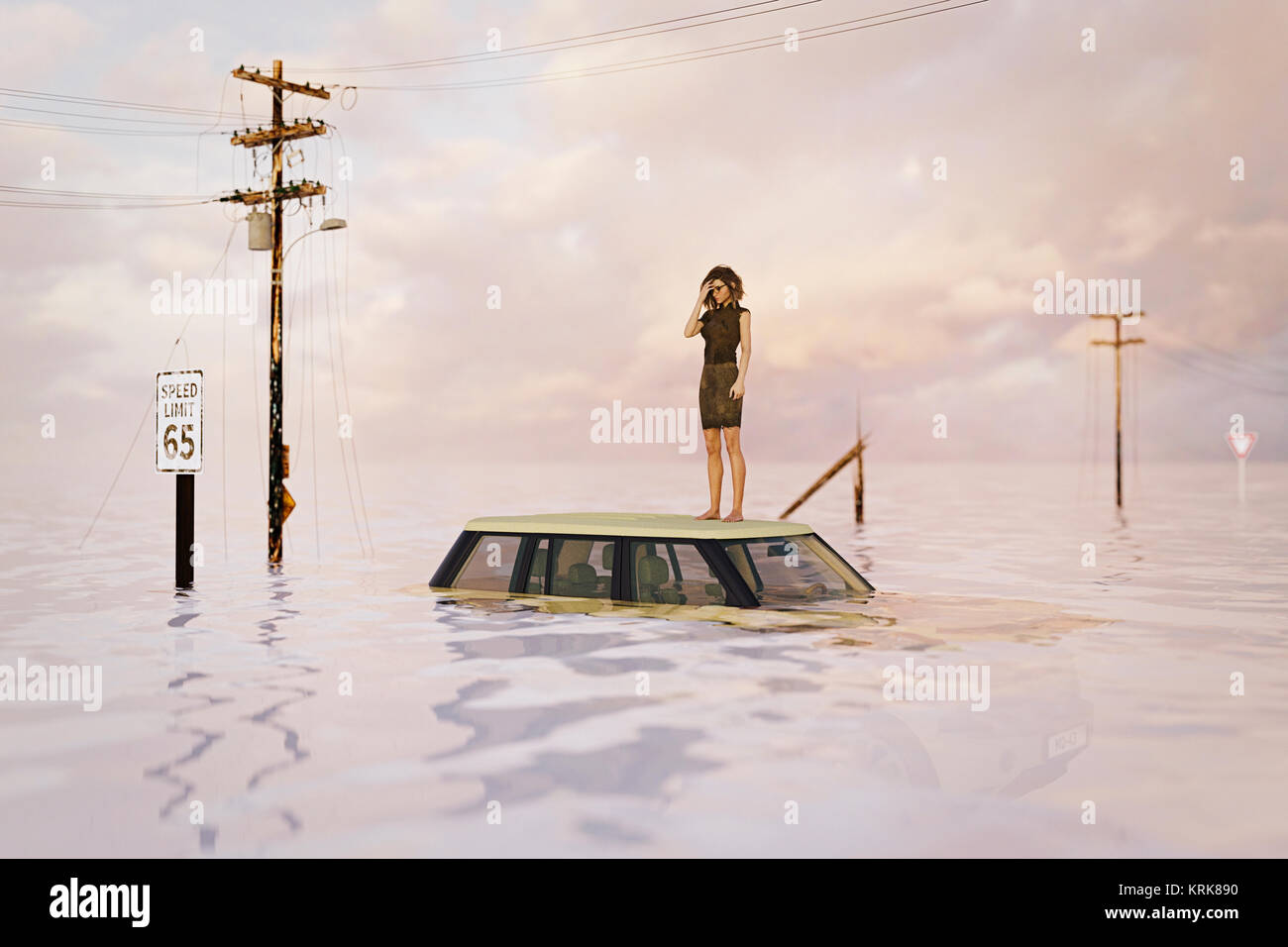 Woman standing on roof of car in flood Stock Photo - Alamy