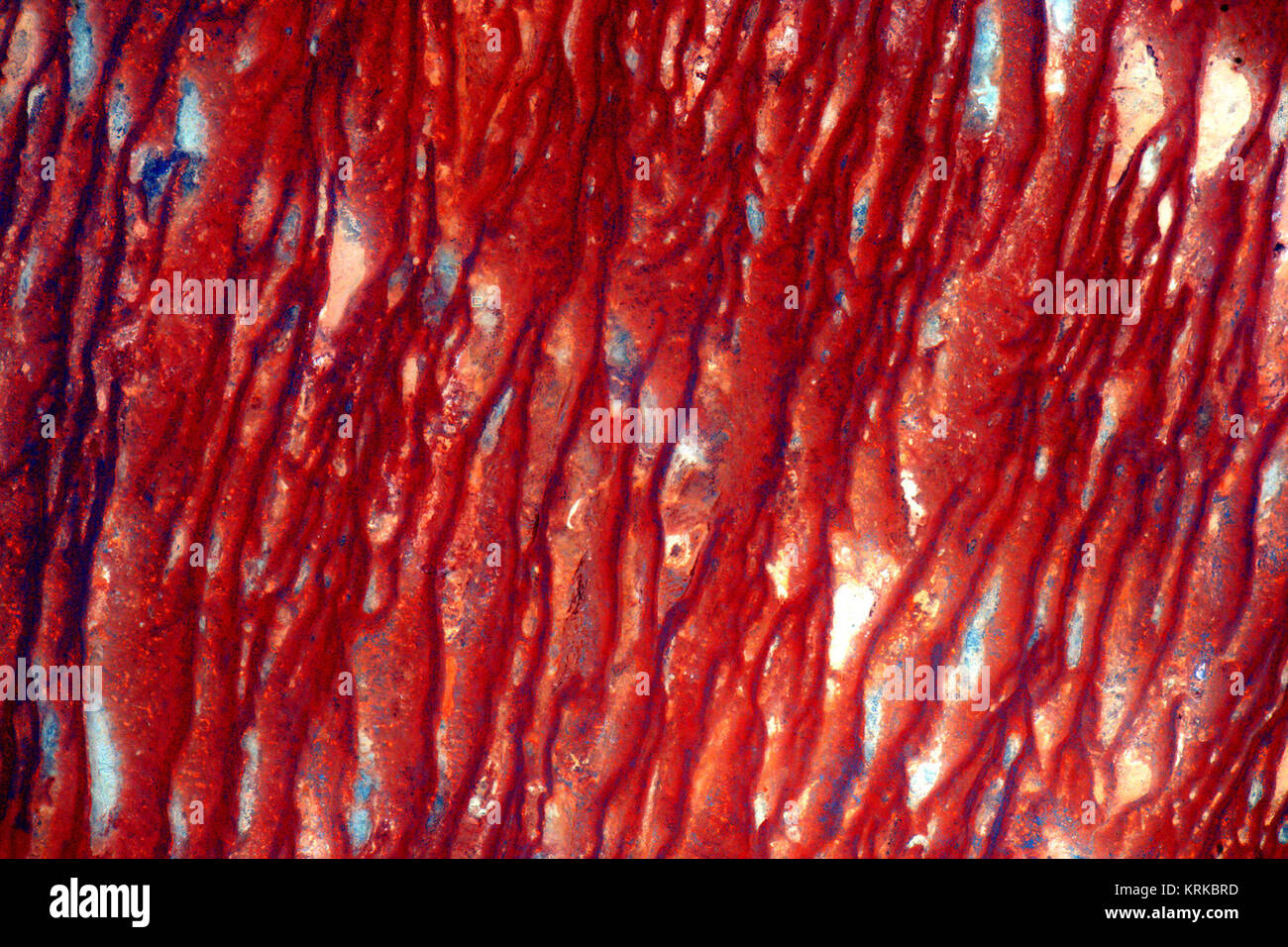 Australia science lab hi-res stock photography and images - Alamy