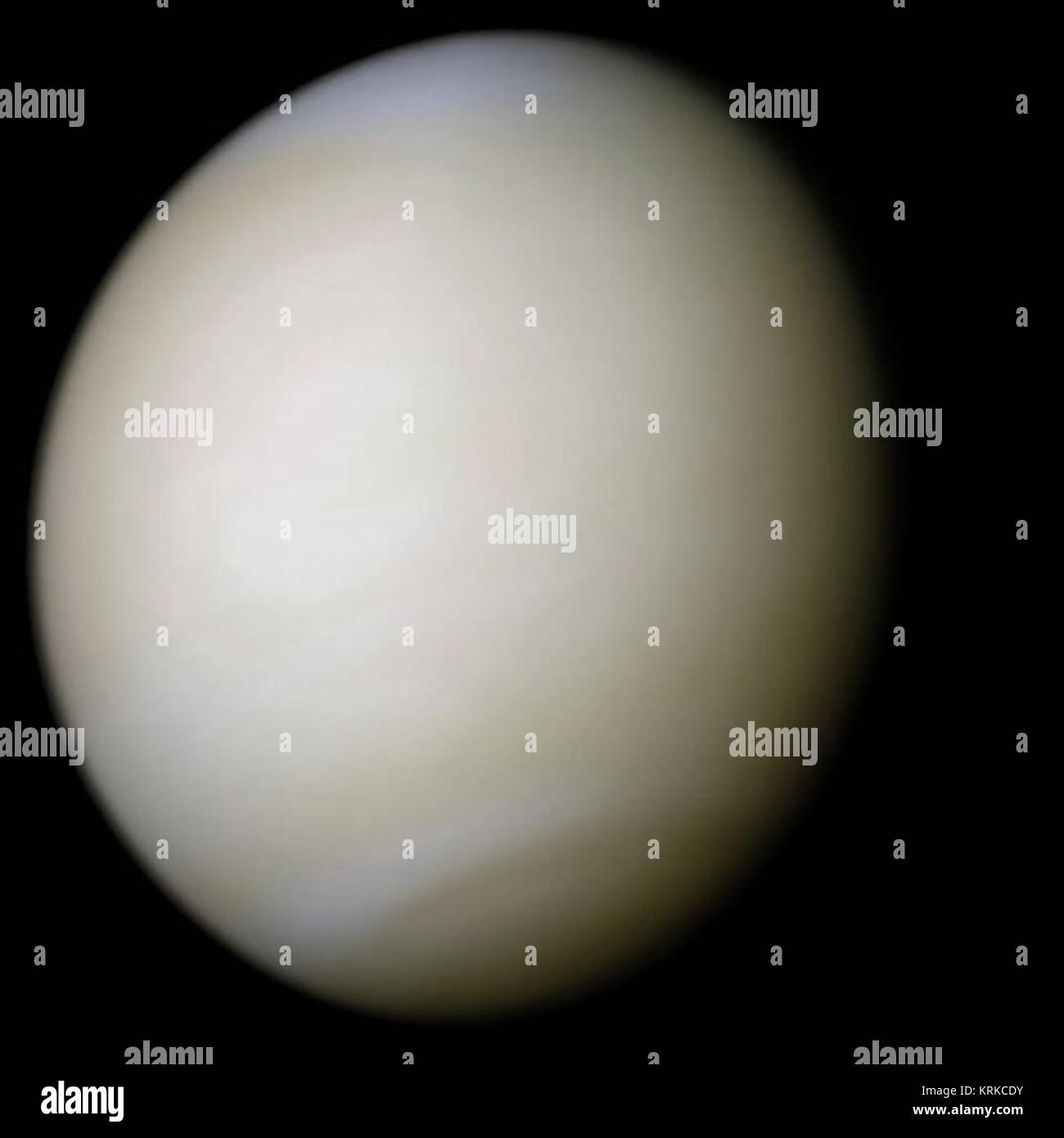 Real venus hi-res stock photography and images - Alamy