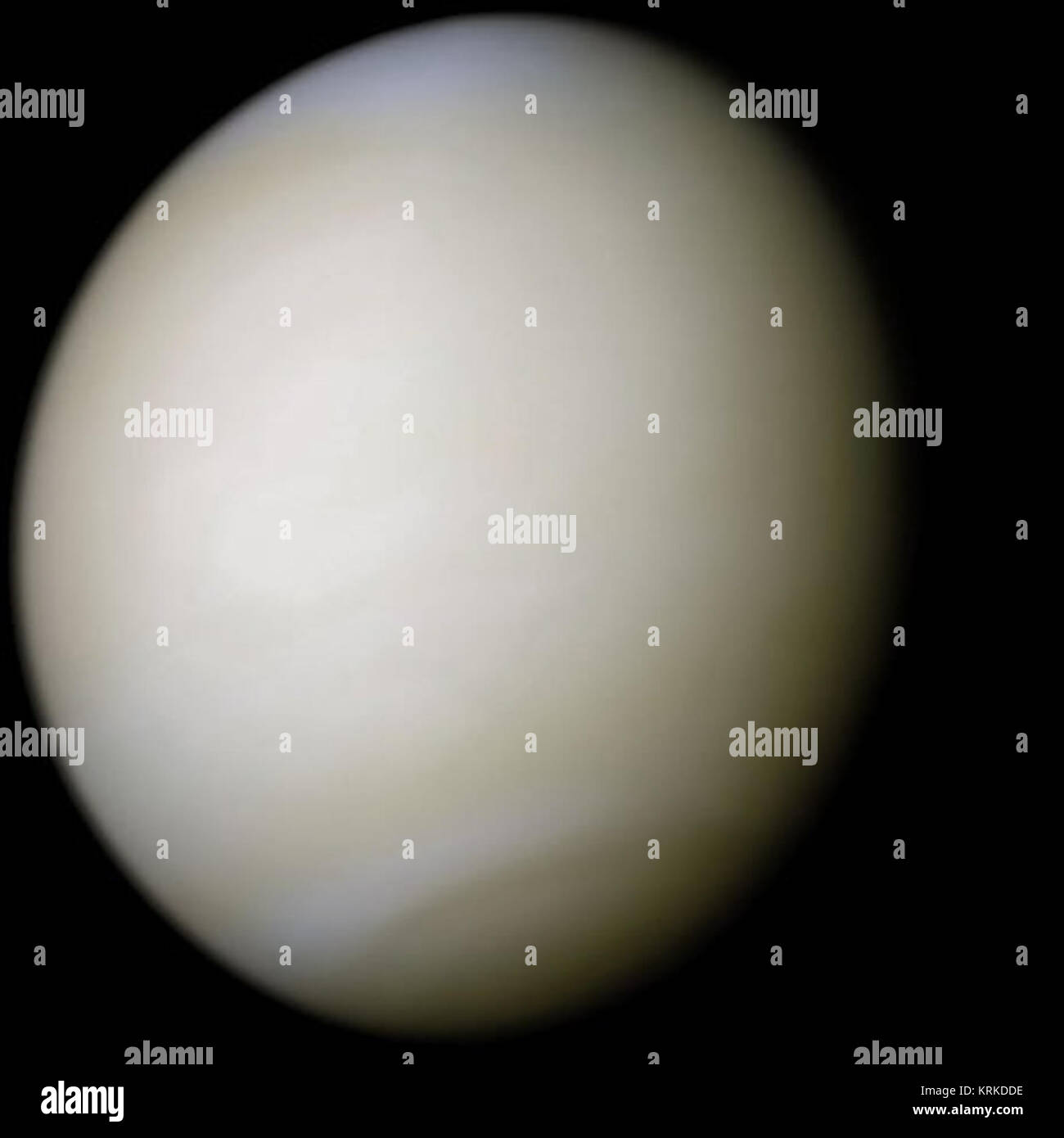 Real venus hi-res stock photography and images - Alamy