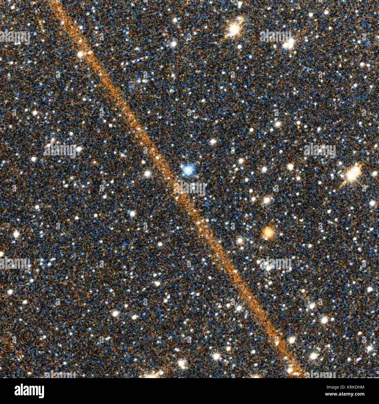 Leo ii hi-res stock photography and images - Alamy