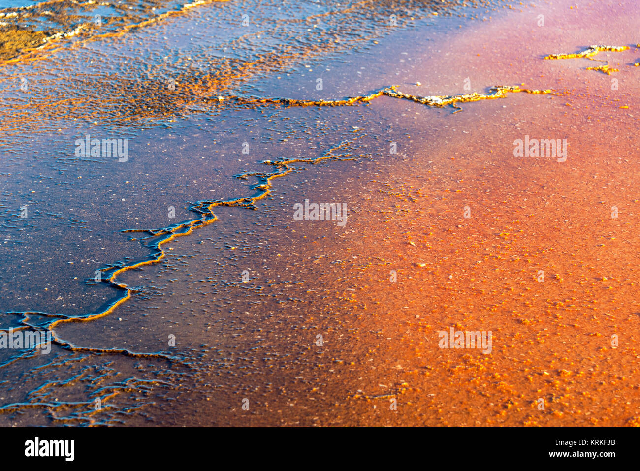 Bacteria Mat Details Stock Photo - Alamy