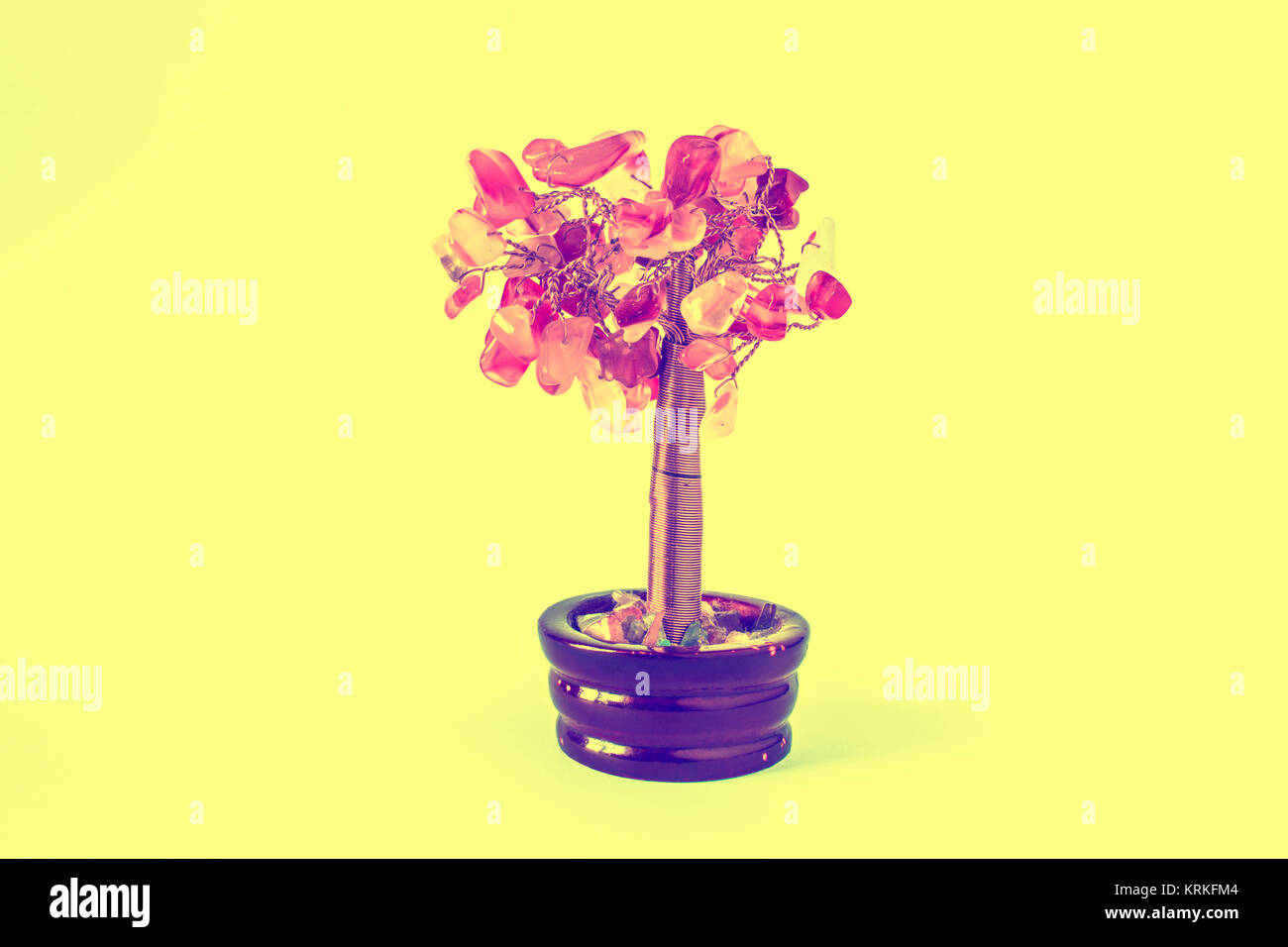 Moneyfrog hi-res stock photography and images - Alamy