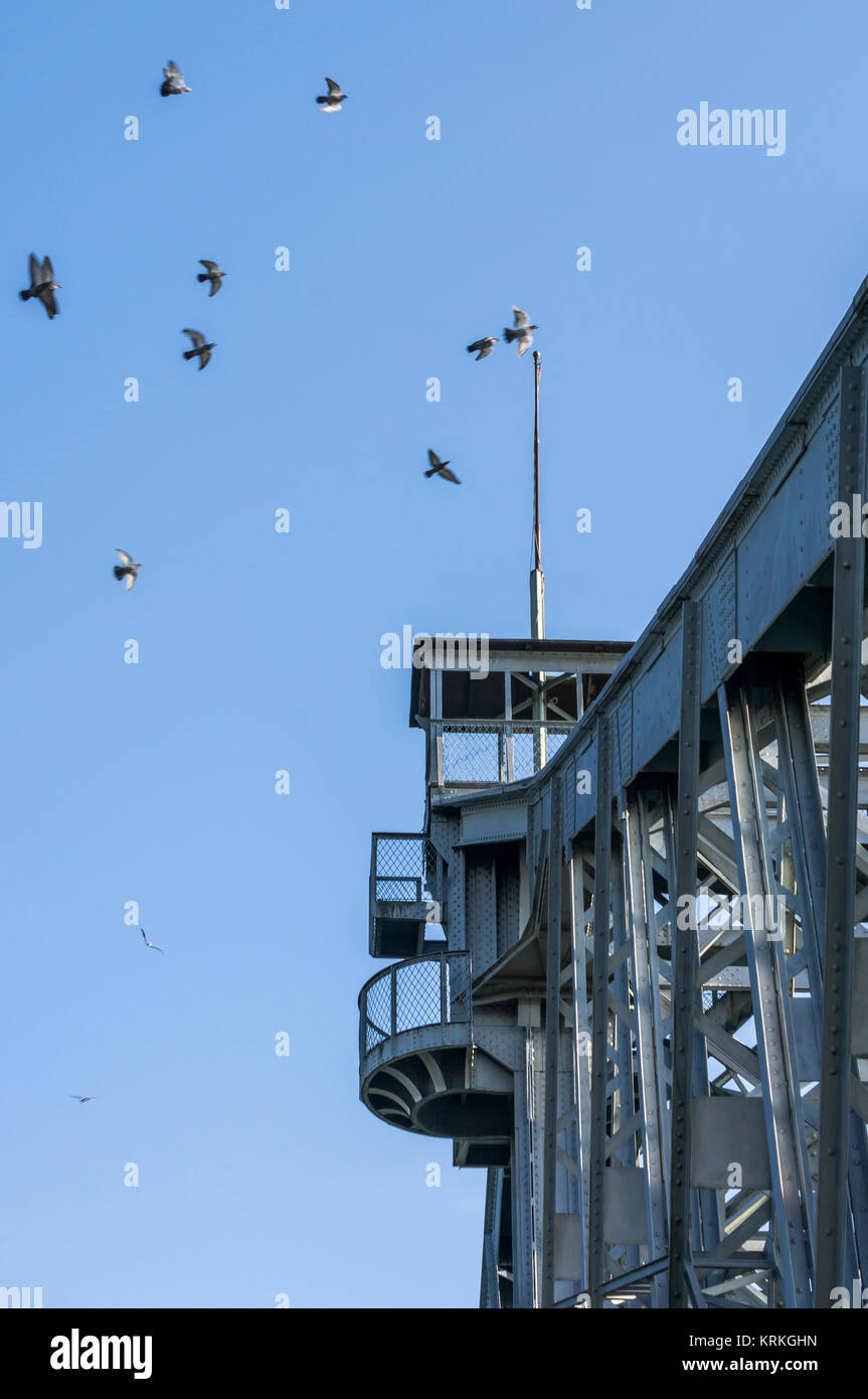 twin towers of the blue wonder bridge in dresden Stock Photo - Alamy