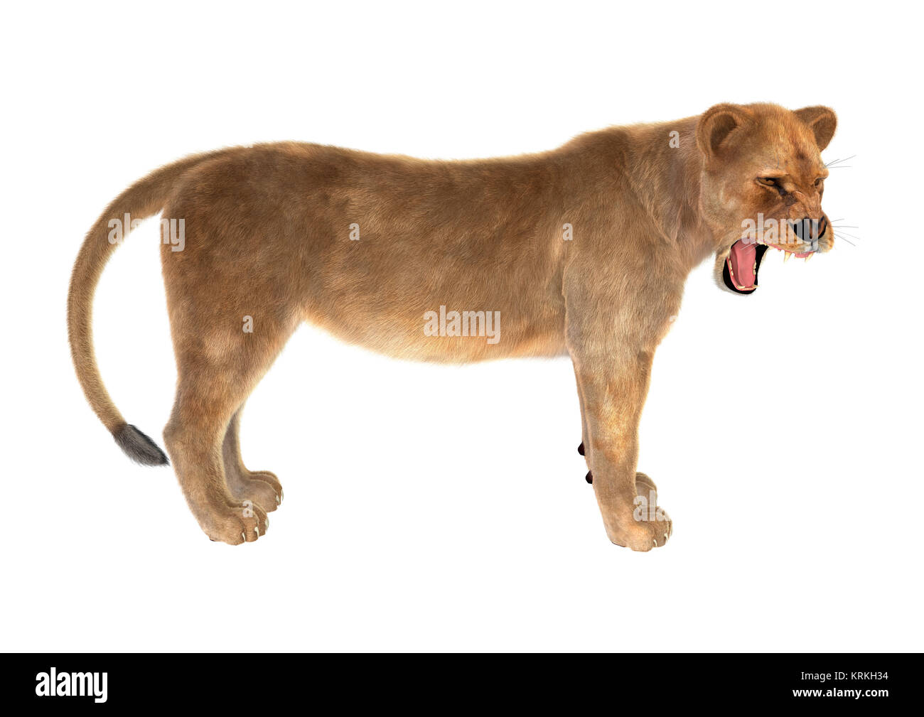 Female enormous hi-res stock photography and images - Alamy