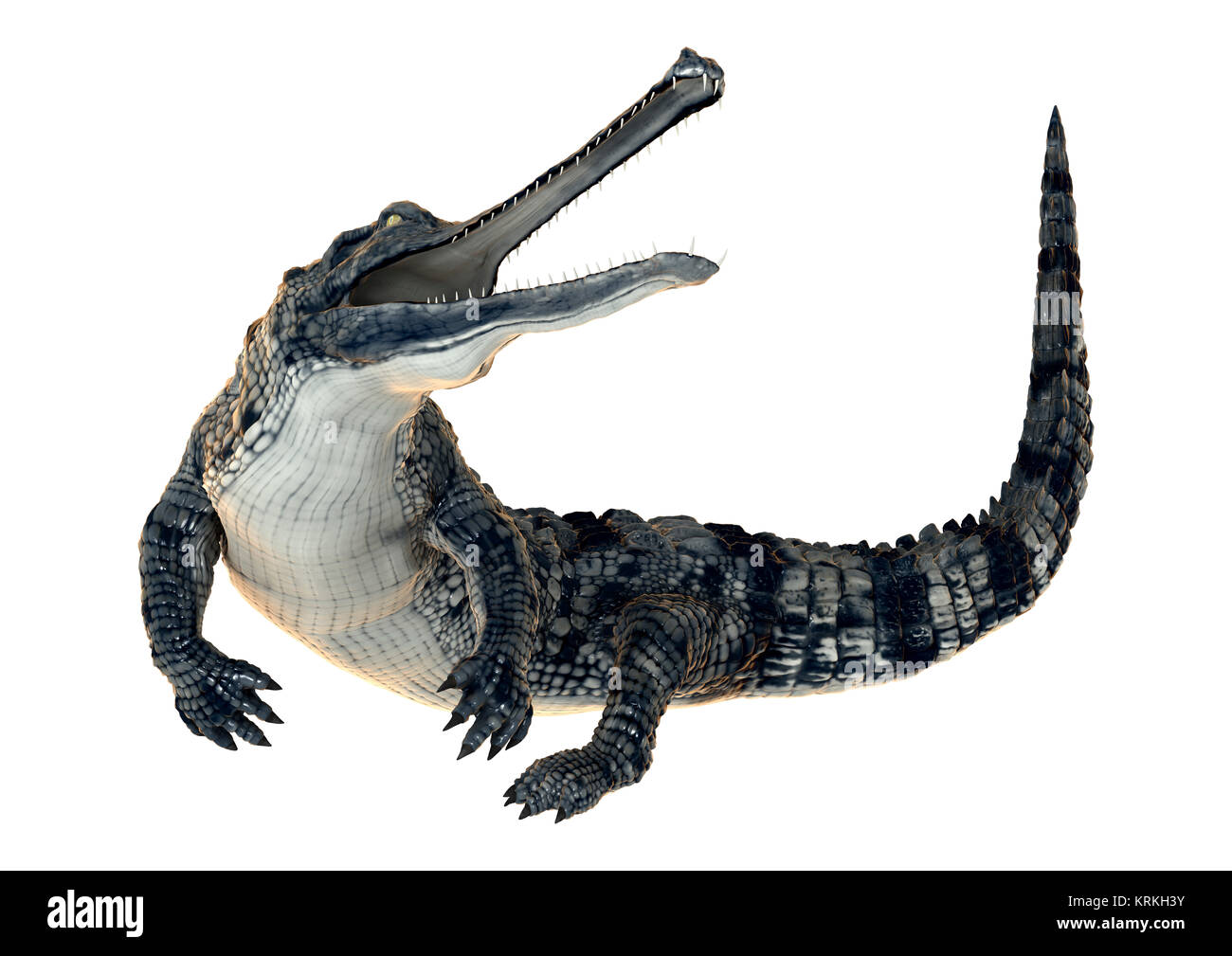 Indian gavial indian gharial gavialis Cut Out Stock Images & Pictures ...