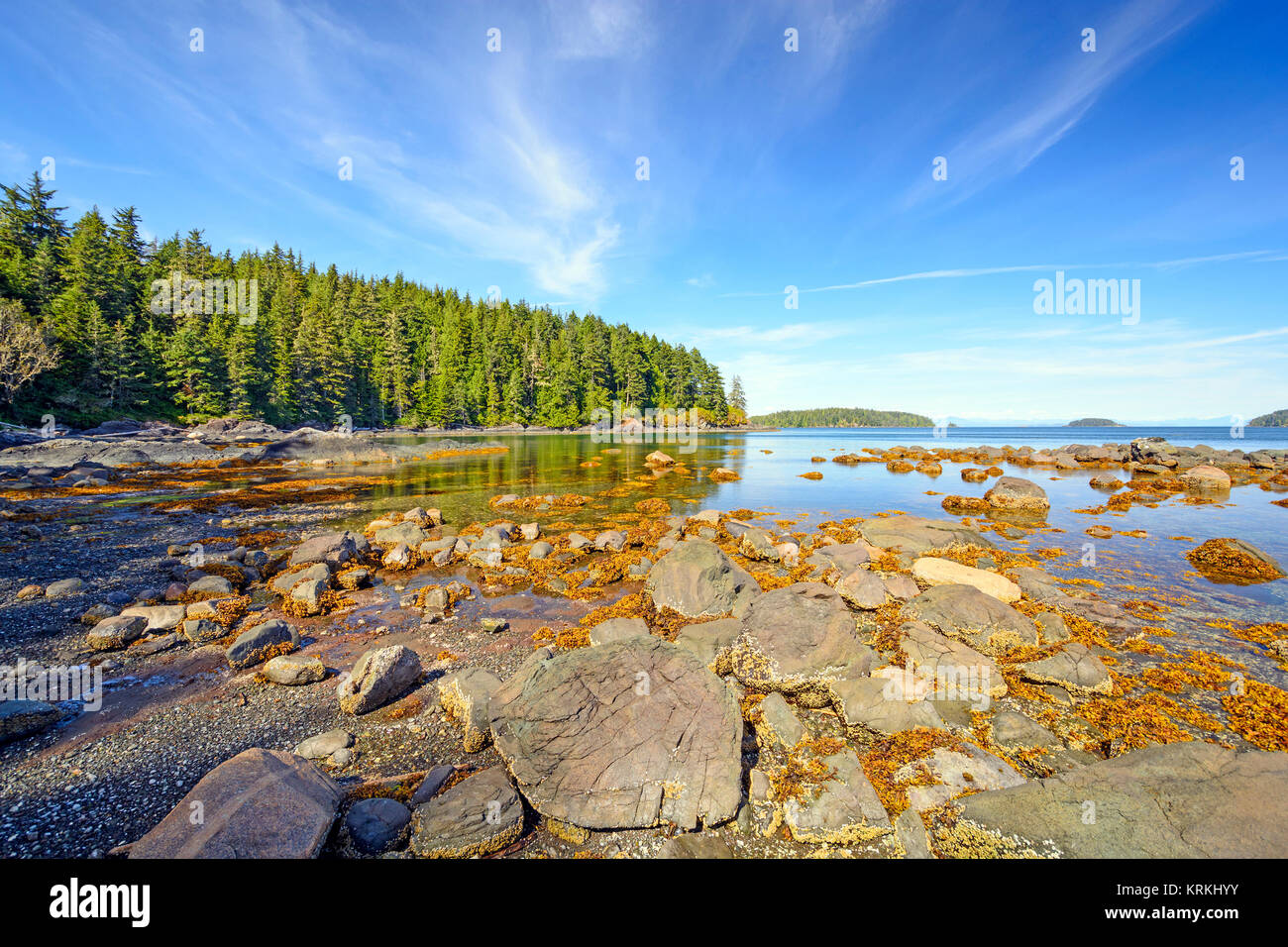 Storey's Beach along the Tex Lyon Trail on Vancouver Island Stock Photo ...