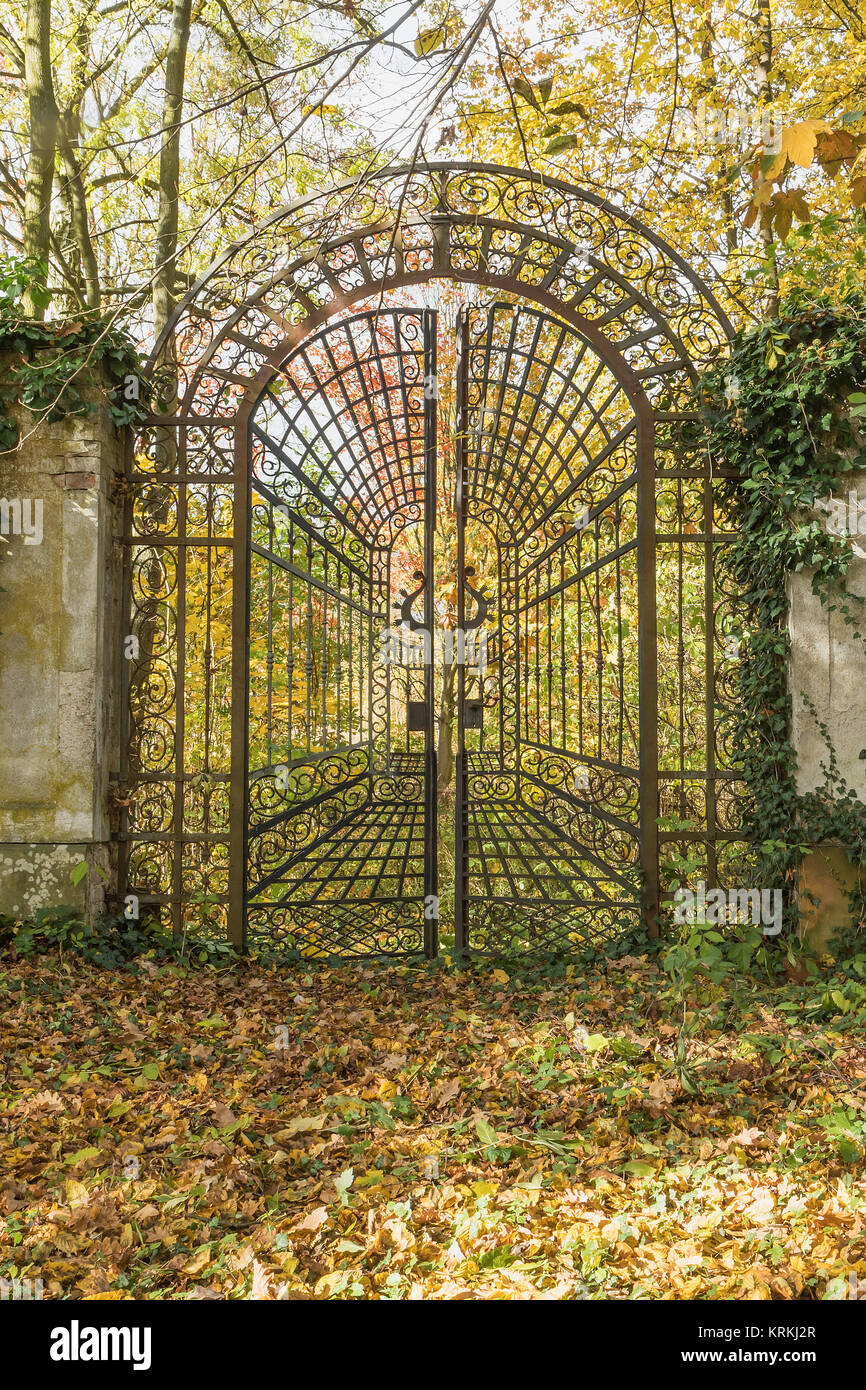 Locked iron gate in the autumn park. Vertically Stock Photo - Alamy