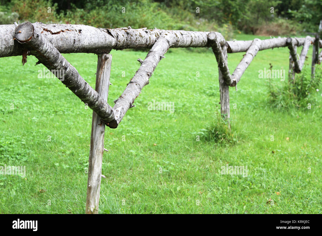 Natural wood fence from trees Stock Photo - Alamy