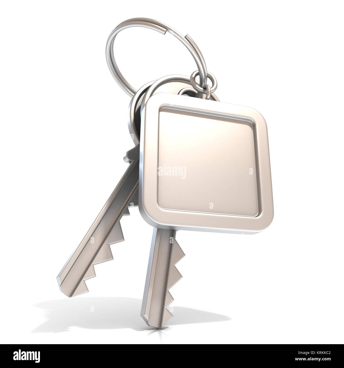 Two door keys and square blank label on ring. 3D Stock Photo - Alamy