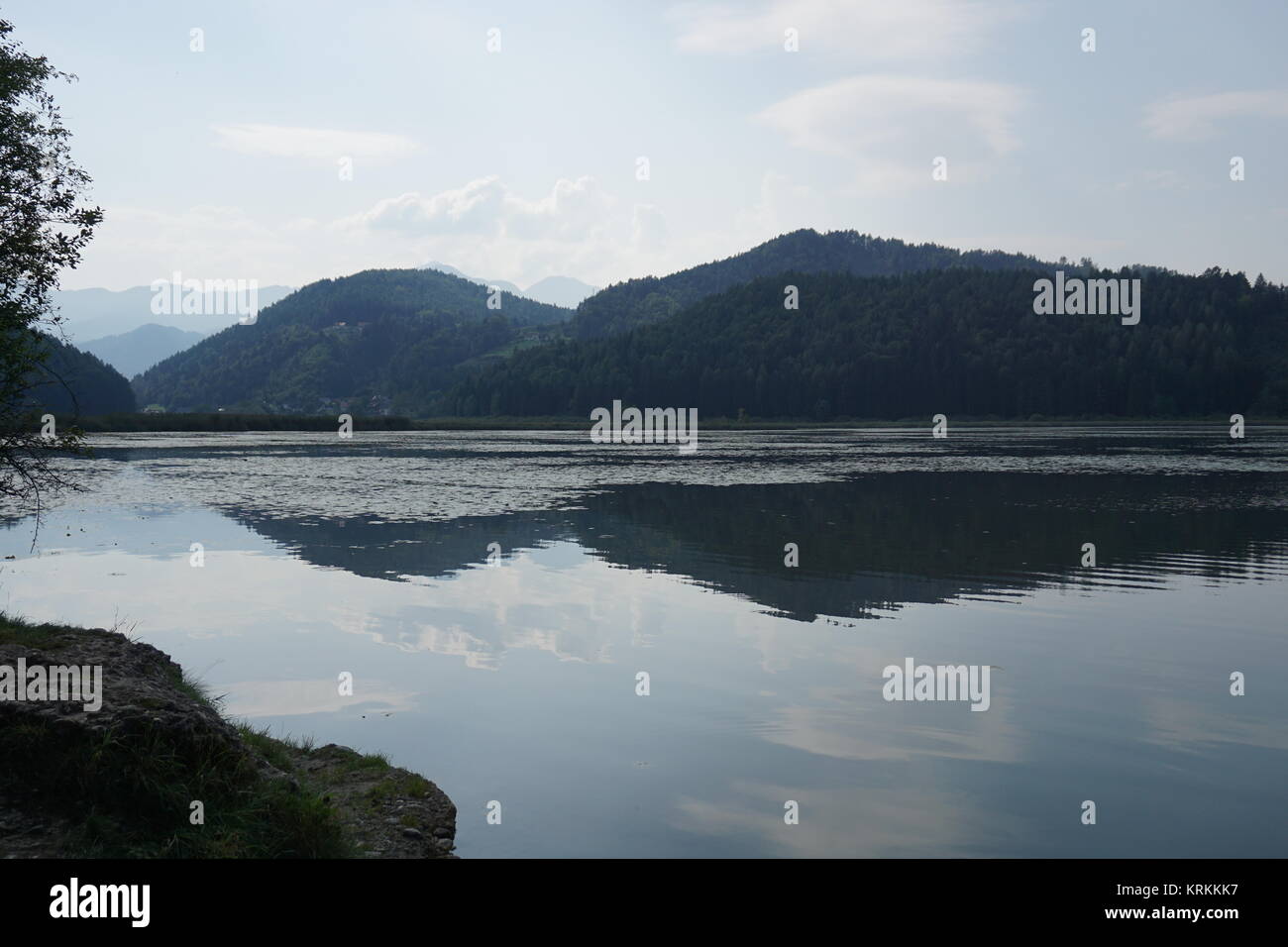 gÃ¶sselsdorfer,lakes,lake,eberndorf sittersdorf,silted,conservation ...