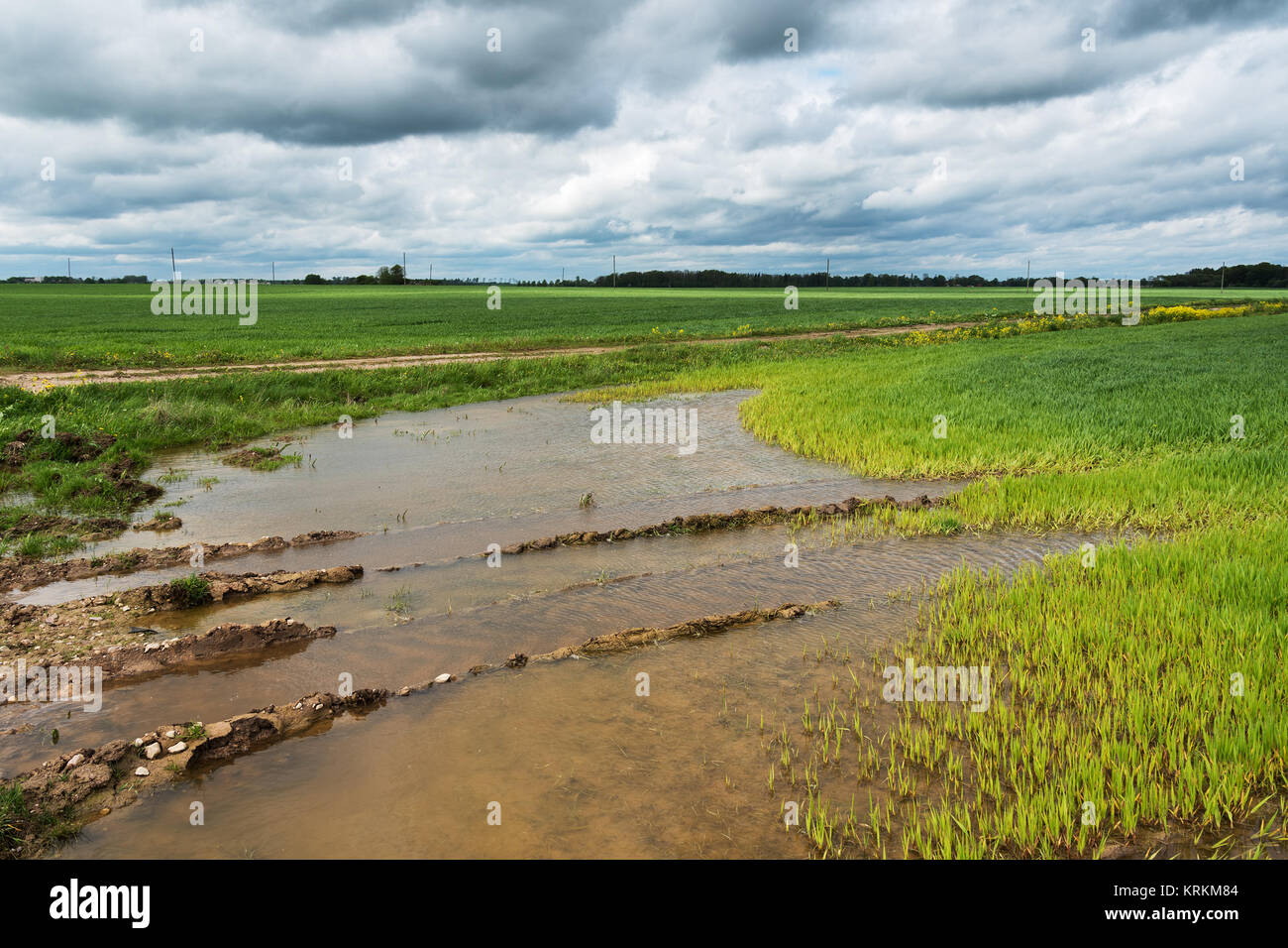 Wet field after heavy rain Stock Photo - Alamy