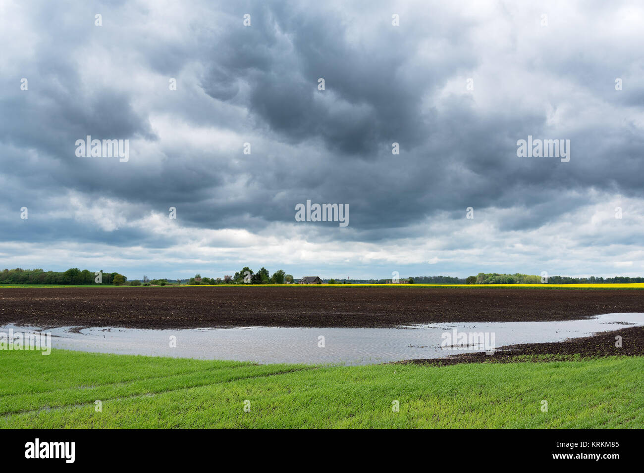 Wet field after heavy rain Stock Photo - Alamy