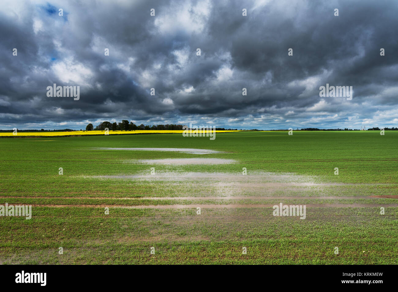 Wet field after heavy rain Stock Photo - Alamy