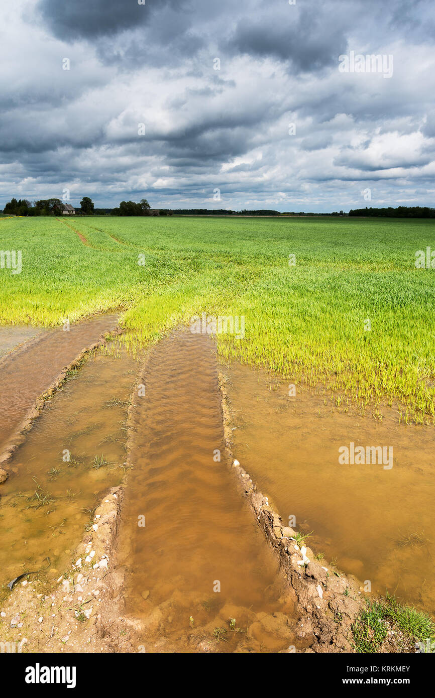 Wet field after heavy rain Stock Photo - Alamy