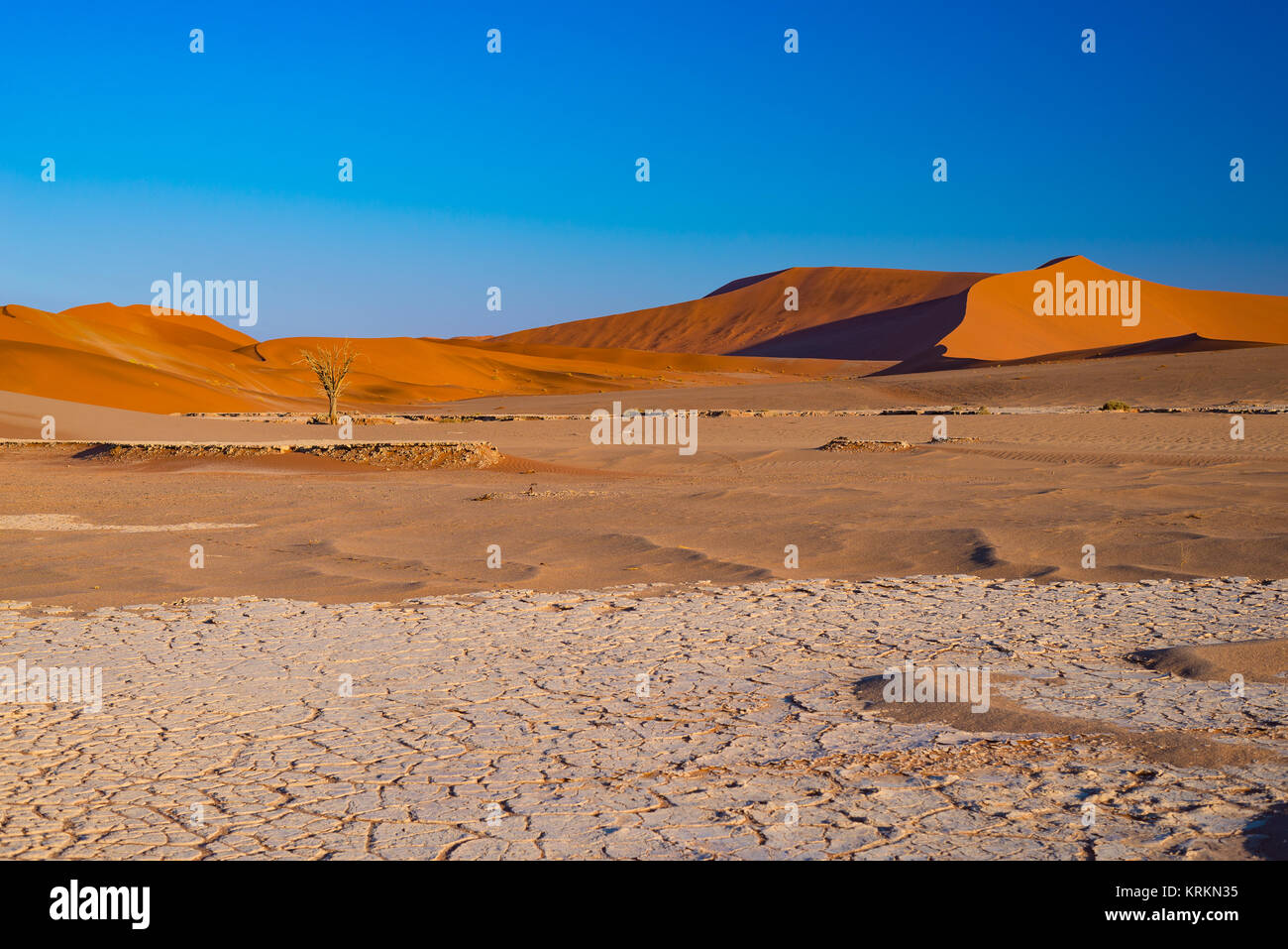 Sand dunes in the Namib desert at dawn, roadtrip in the wonderful Namib ...
