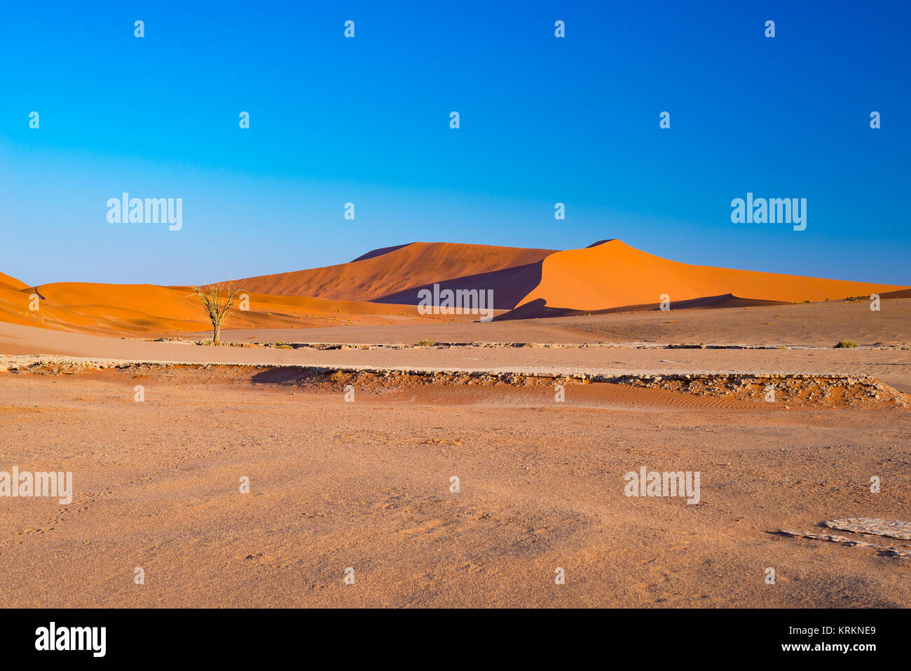 Sand dunes in the Namib desert at dawn, roadtrip in the wonderful Namib ...