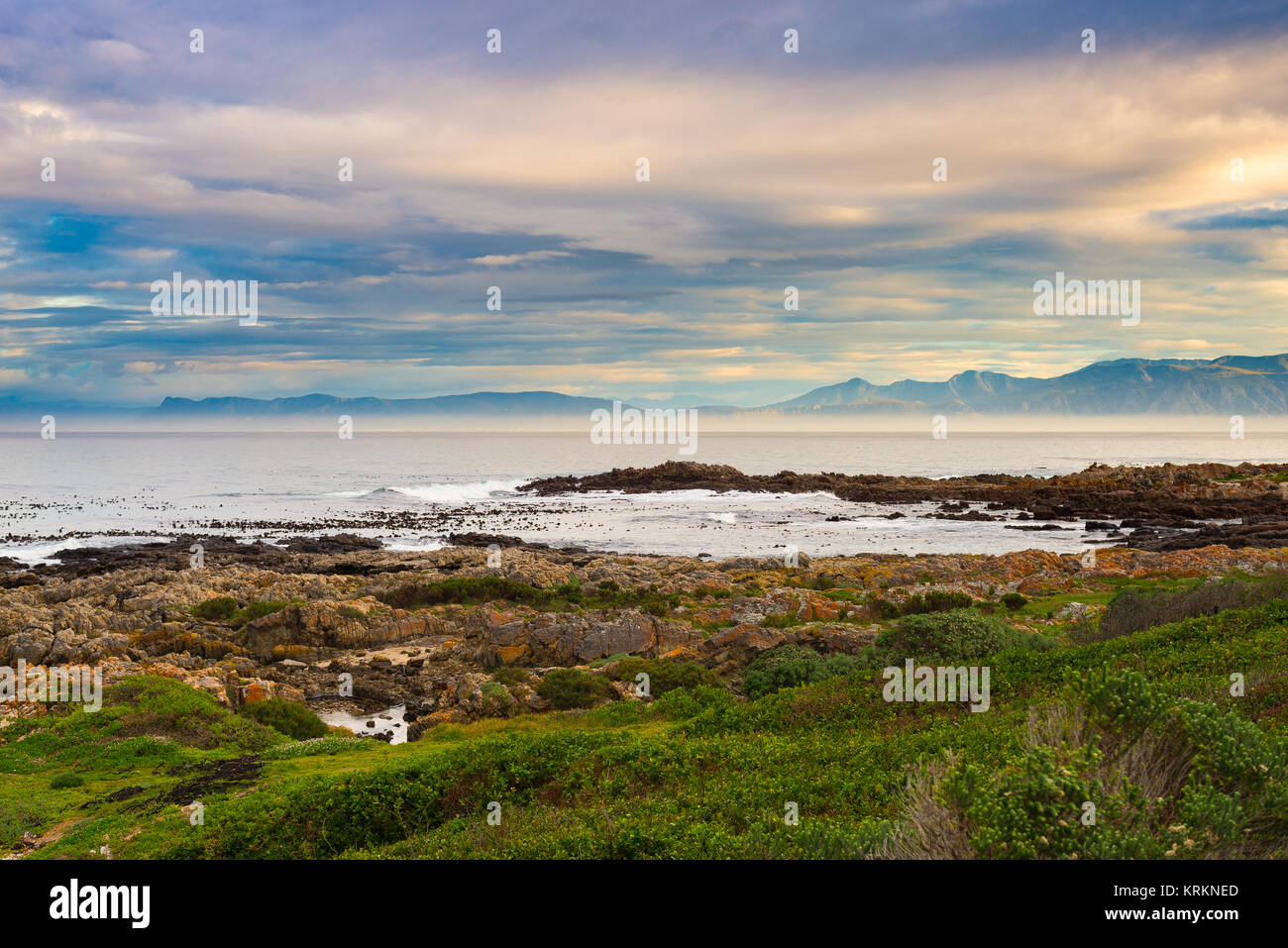 Rocky coast line on the ocean at De Kelders, South Africa, famous for whale watching. Winter ...