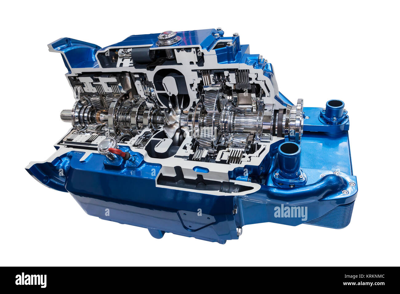 Duty section Cut Out Stock Images & Pictures - Alamy