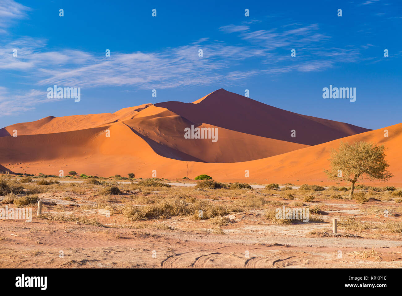 Sand dunes in the Namib desert at dawn, roadtrip in the wonderful Namib ...