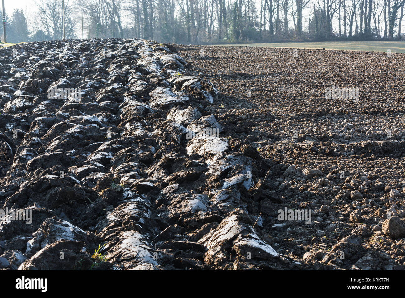freshly plowed field Stock Photo - Alamy