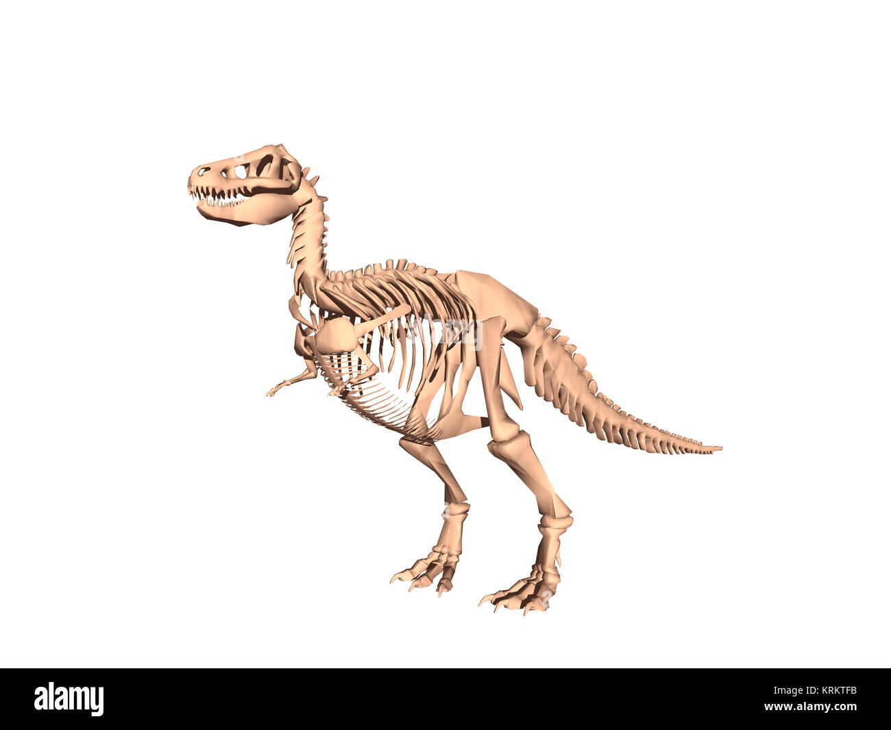 Saurian skeleton Cut Out Stock Images & Pictures - Alamy