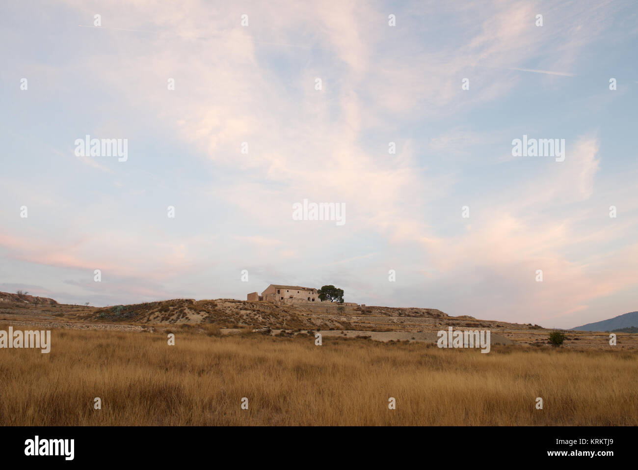 Remote ruined farmhouse in the countryside Stock Photo - Alamy