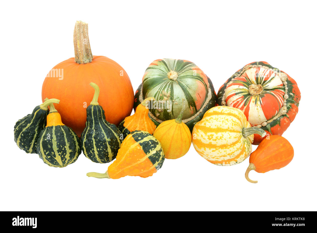 Selection of gourds, pumpkins and squashes Stock Photo - Alamy