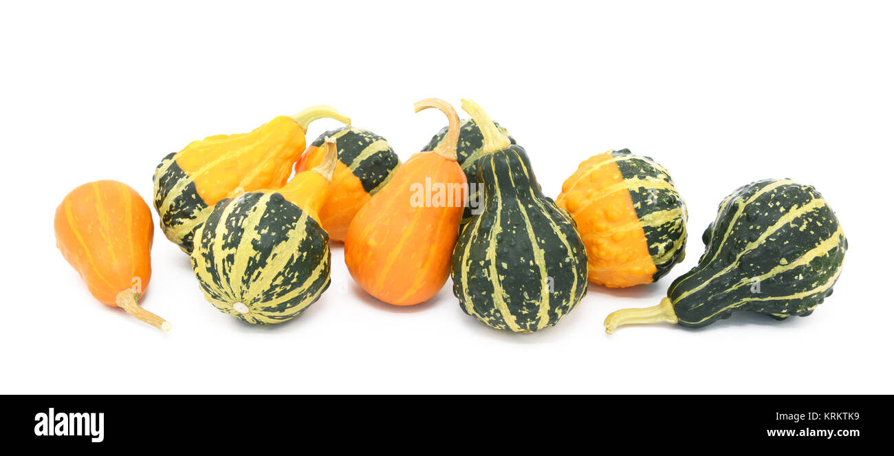 Bumpy gourds Cut Out Stock Images & Pictures - Alamy