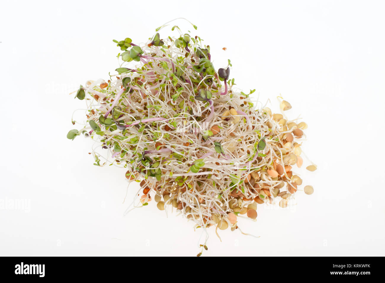 The healthy diet. Fresh sprouts isolated on white background Stock ...