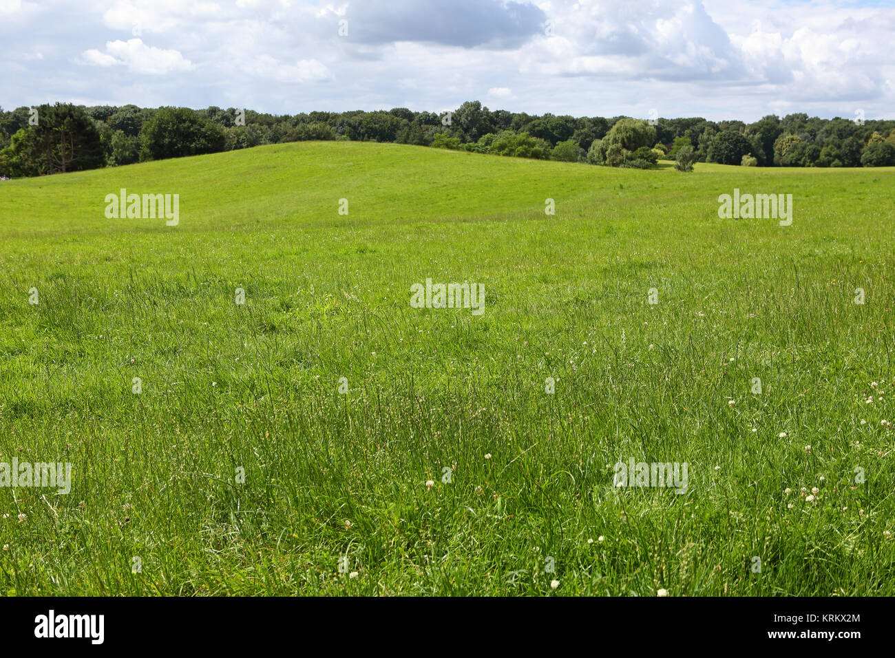 The meadow project hi-res stock photography and images - Alamy