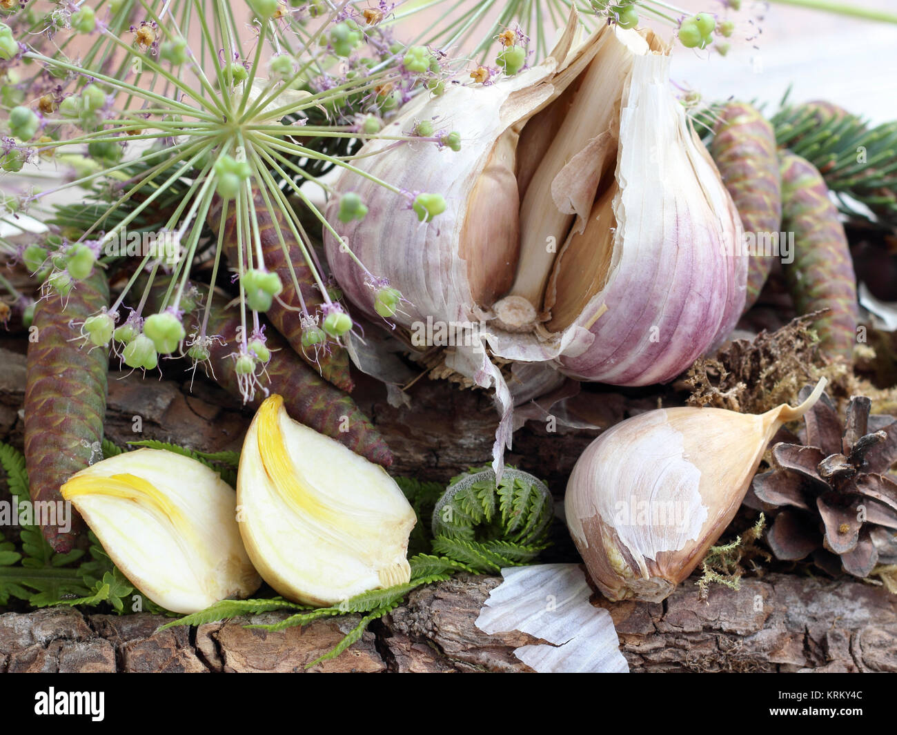 Dried garlic cloves Stock Photo - Alamy