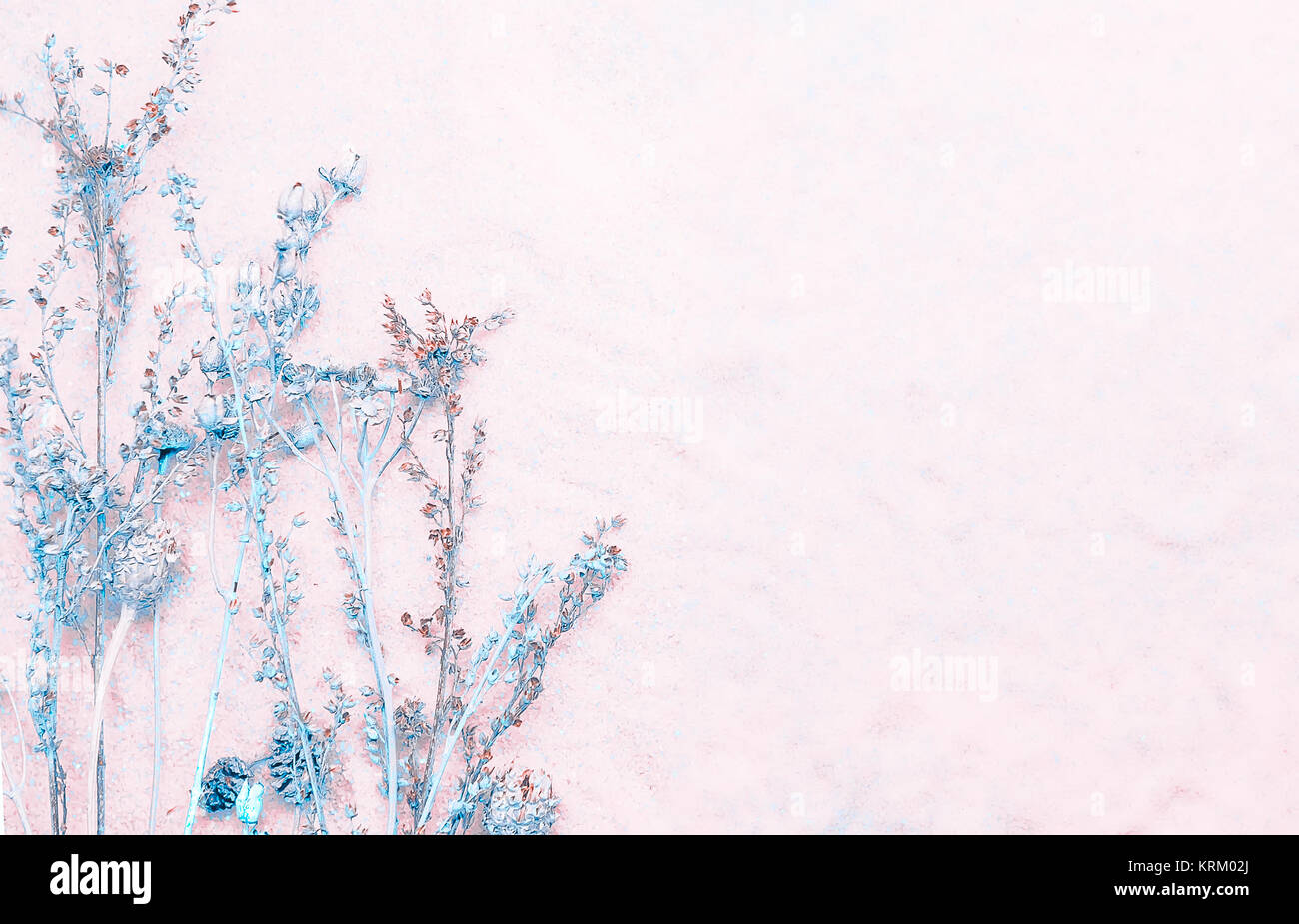 Light Floral Background Stock Photo - Alamy