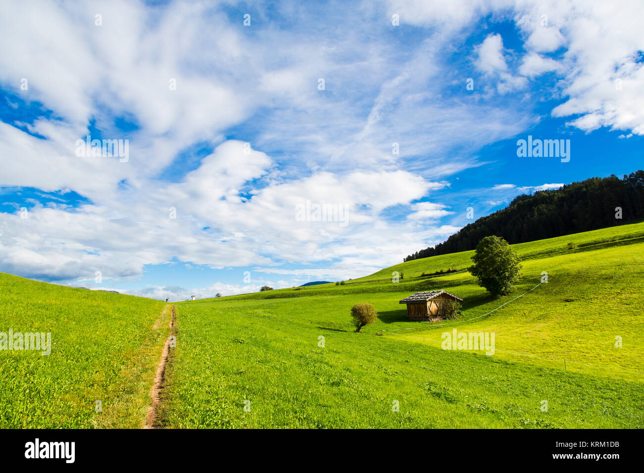 Panoramic view of green fields, blue sky with clouds in Seiser Alm ...