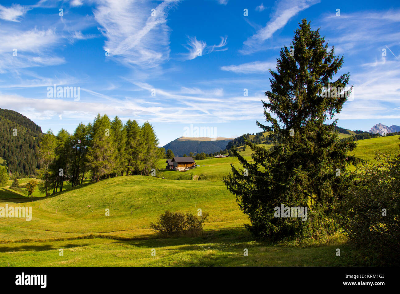 panoramic view of the Seiser Alm in a sunny day with blue sky and ...