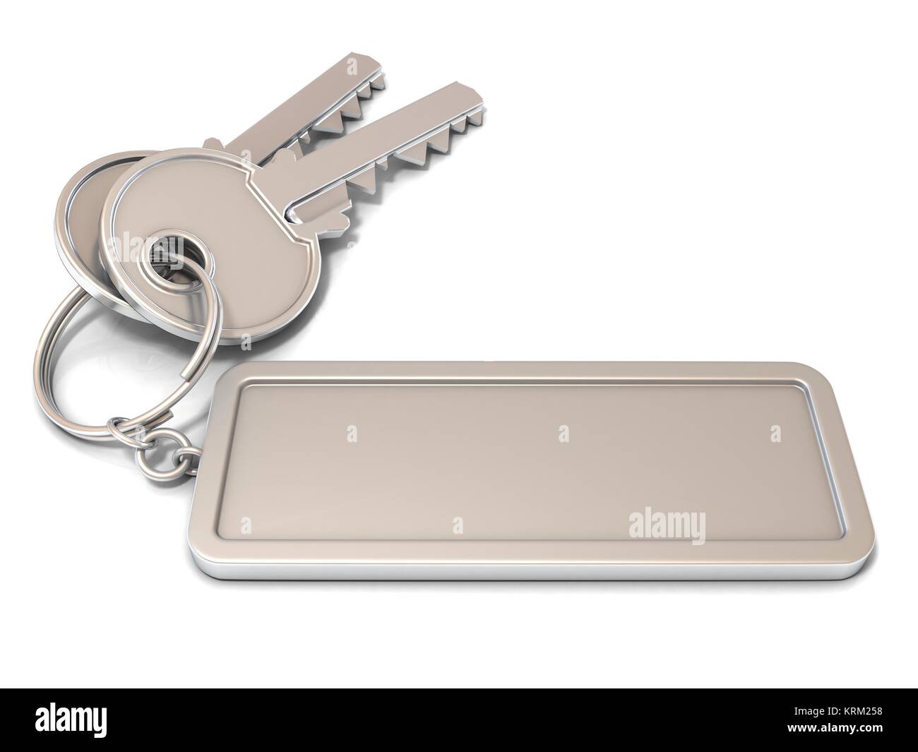 Two door keys and rectangular blank label on ring. 3D Stock Photo - Alamy