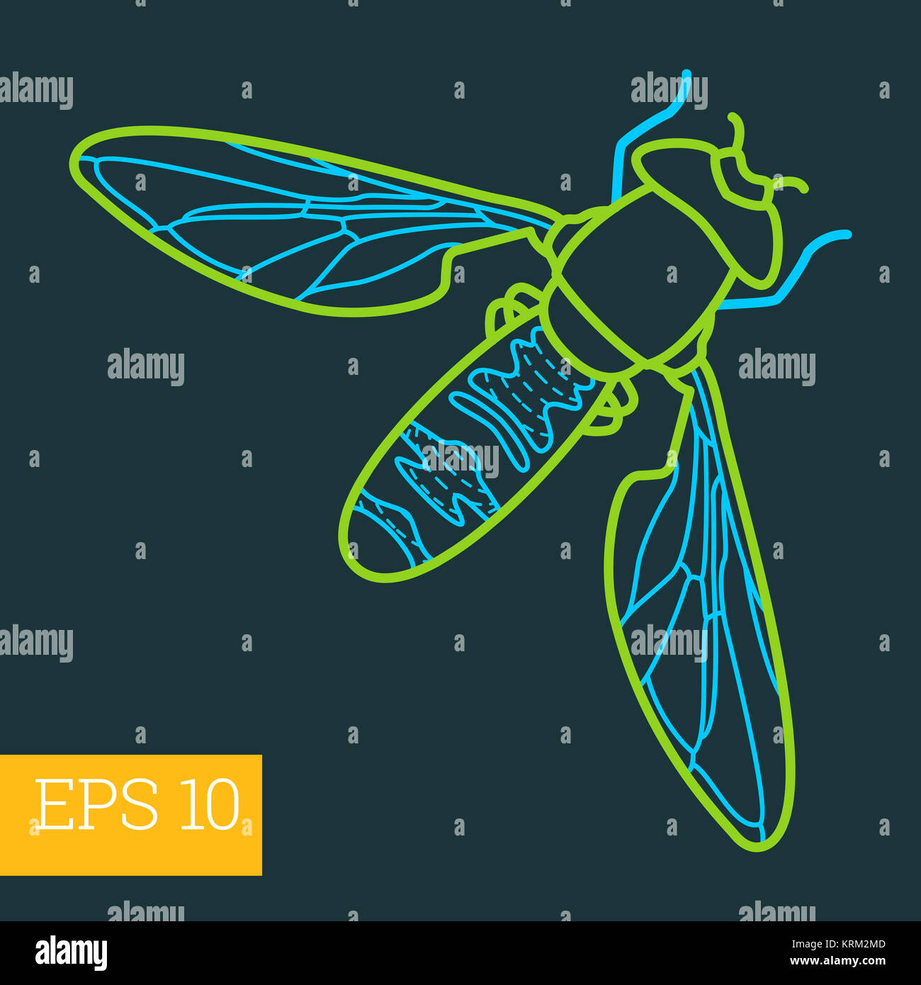 Fly Vector Stock Photos & Fly Vector Stock Images - Alamy