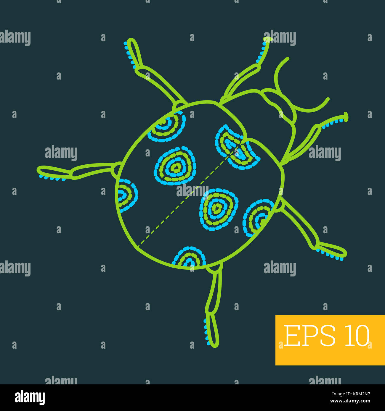 lady-bug insect outline Stock Photo - Alamy