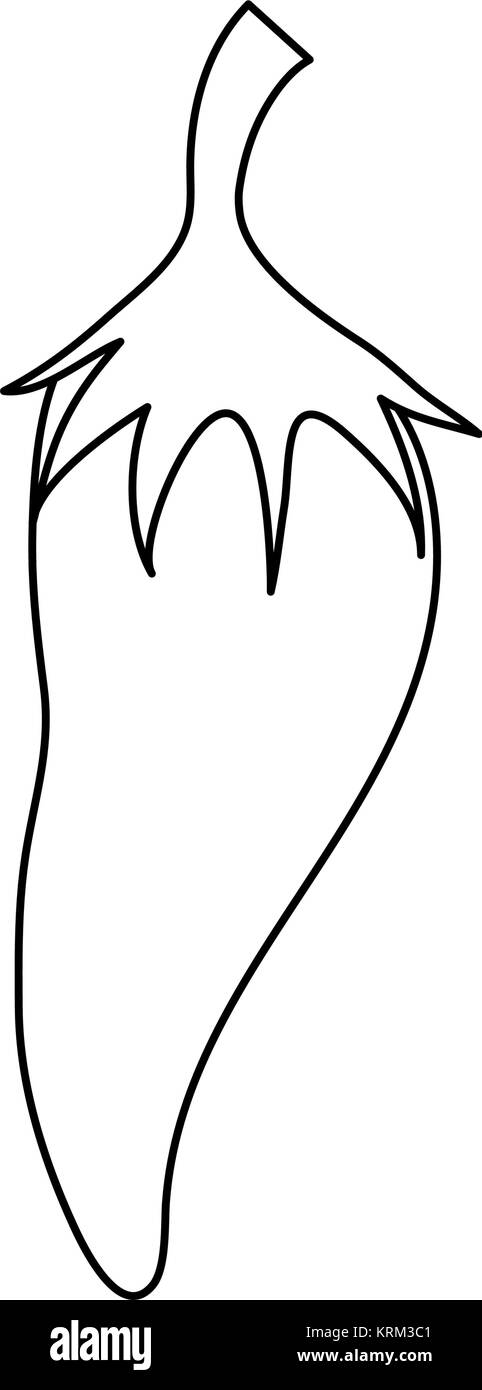 Capsicum chilli pepper plant Black and White Stock Photos & Images - Alamy