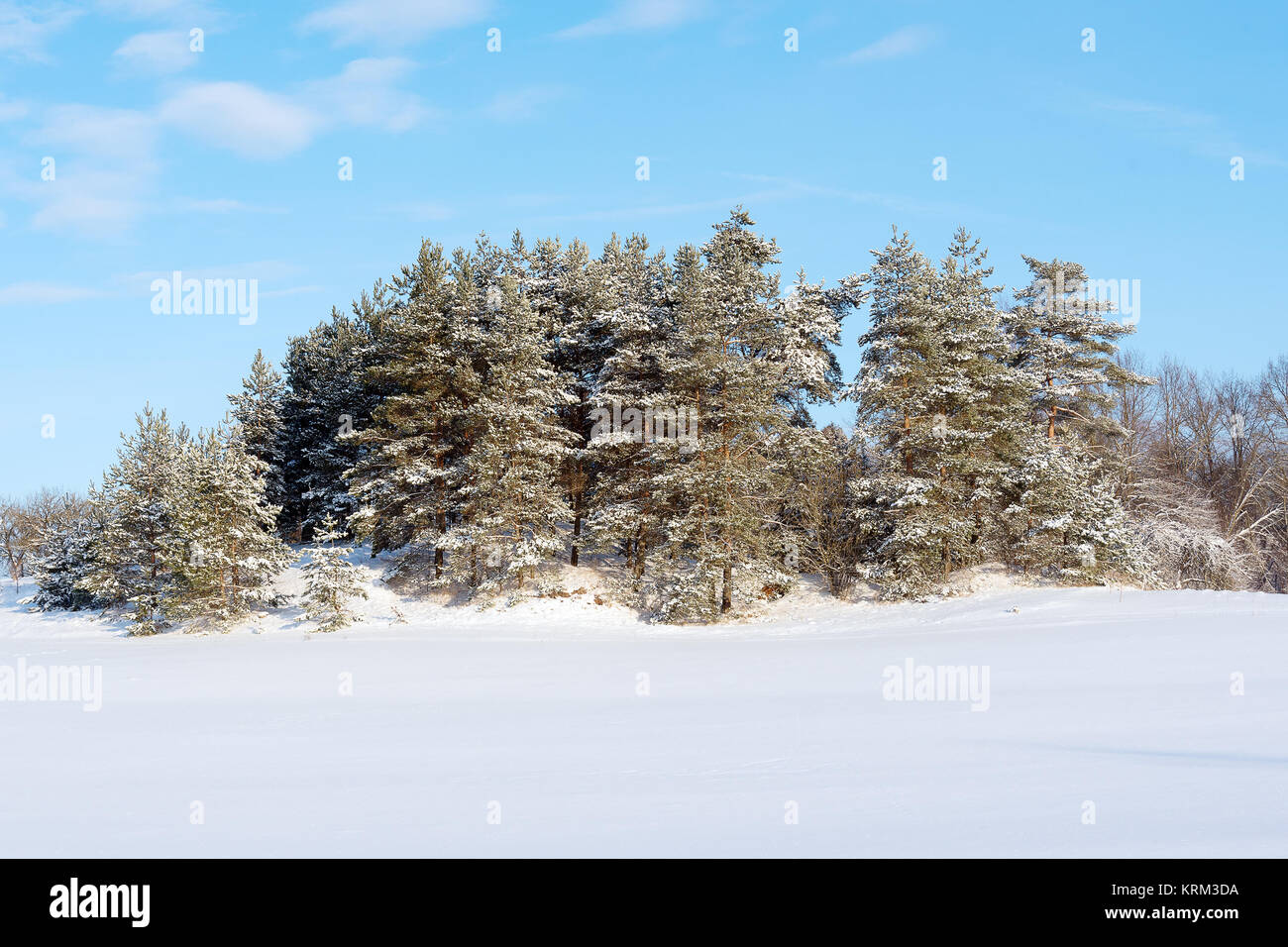 White land in sunny winter day Stock Photo - Alamy