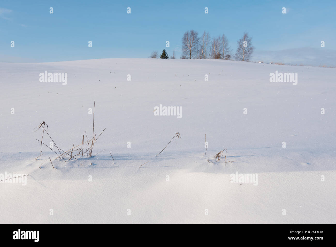 White land in sunny winter day Stock Photo - Alamy