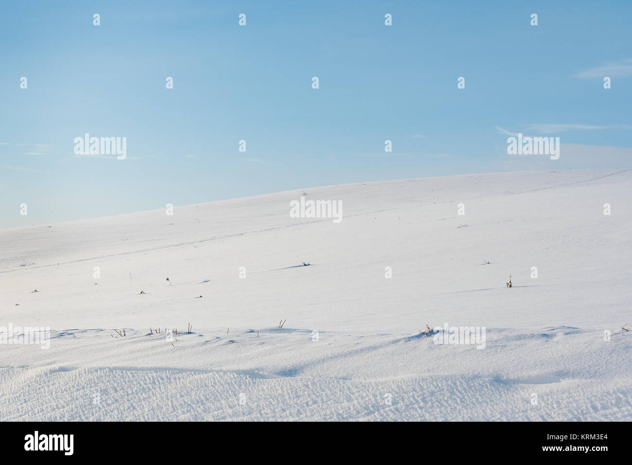 White land in sunny winter day Stock Photo - Alamy