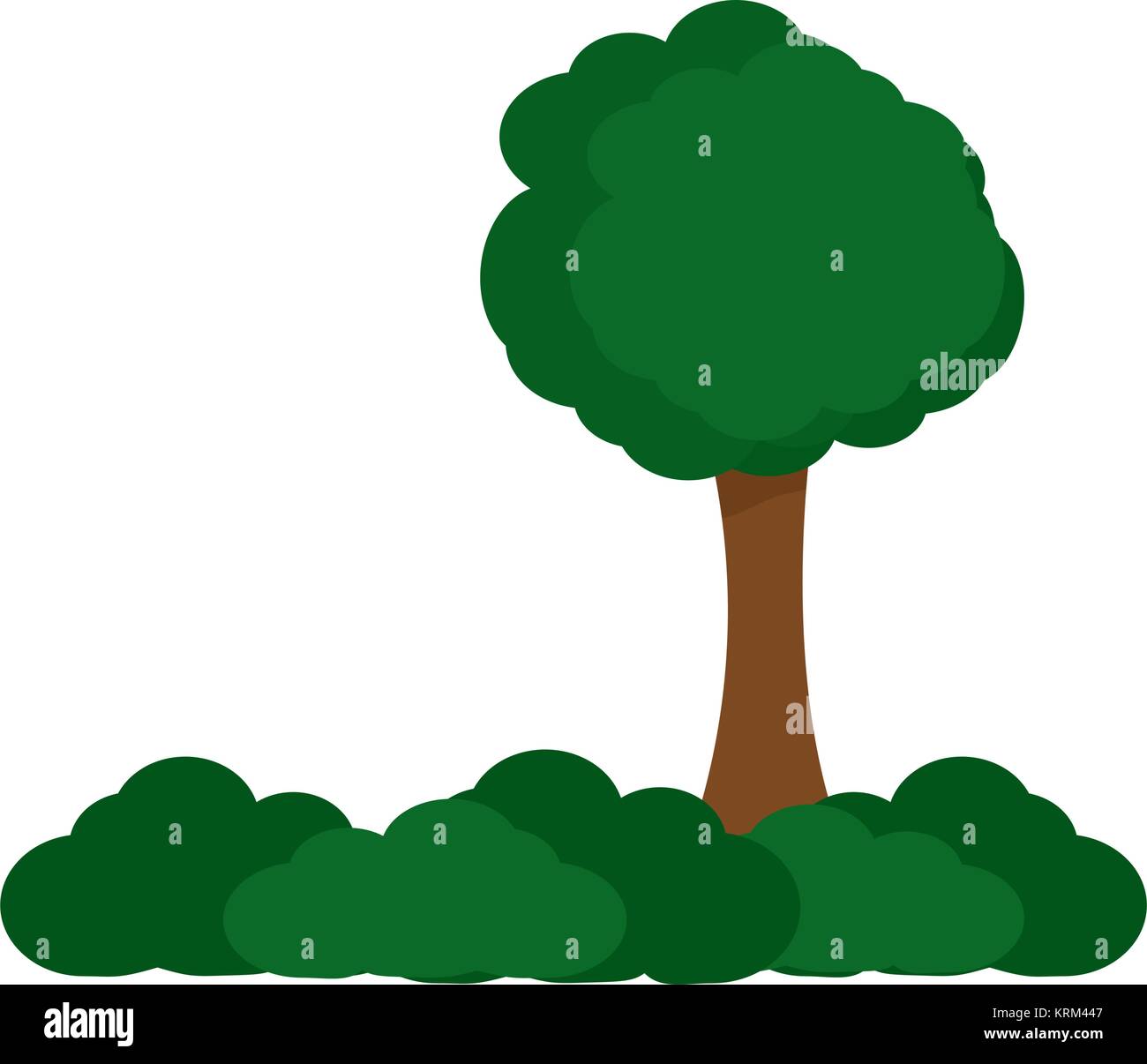 Isolated tree design Stock Vector Image & Art - Alamy