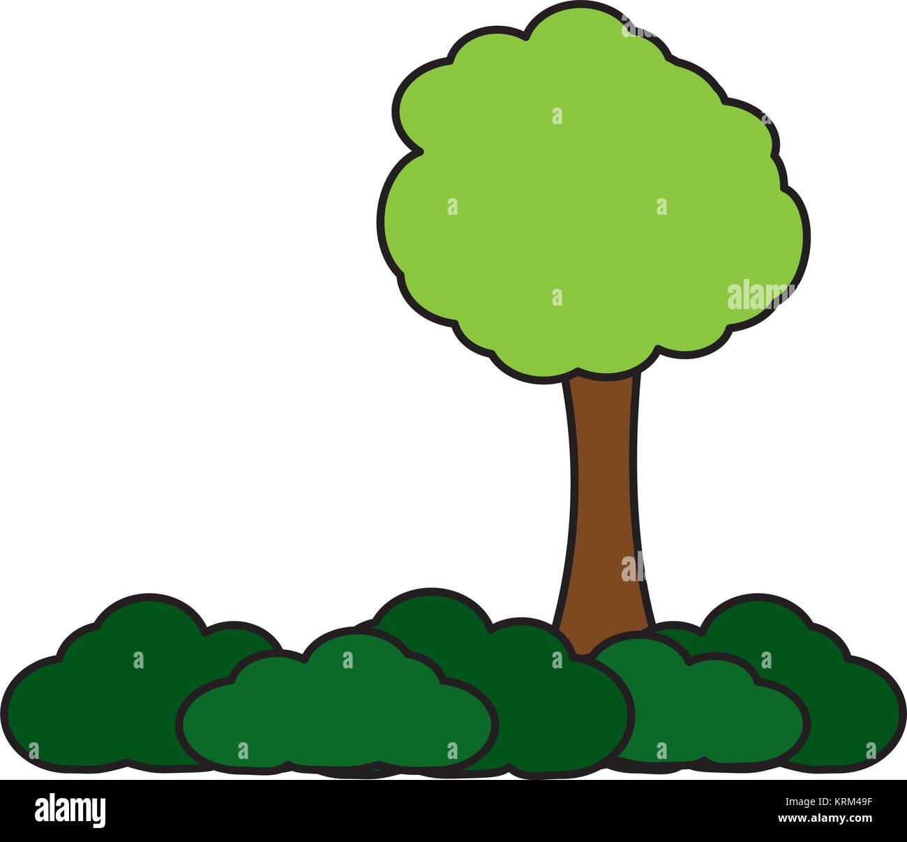 Isolated tree design Stock Vector Image & Art - Alamy