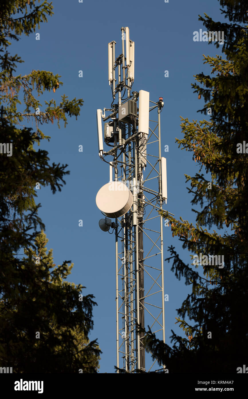 Cellphone Tower with Trees Stock Photo - Alamy