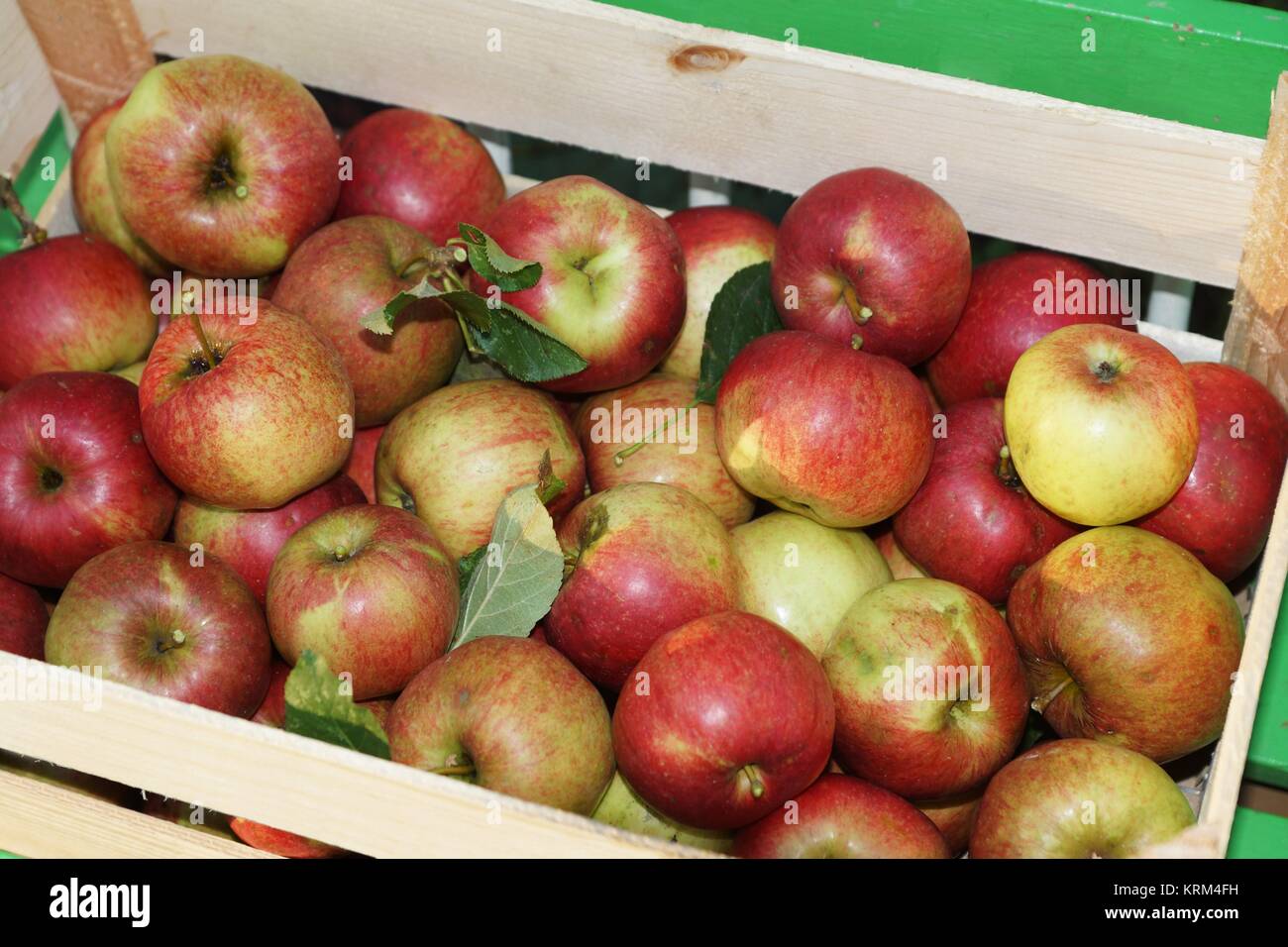 fresh organic apples Stock Photo - Alamy