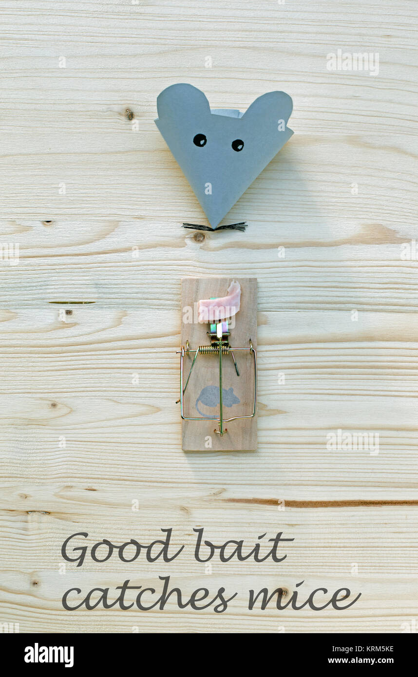 mouse mousetrap with bacon begins to mice Stock Photo - Alamy